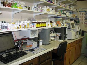 In-House Laboratory in Alamogordo, NM | Leslie Animal Clinic